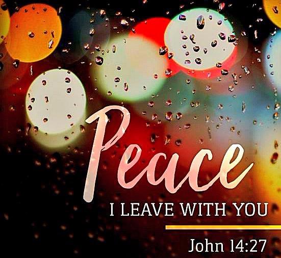 An Unexpected Gift – Volume XXIII, Issue 50 – Ciloa